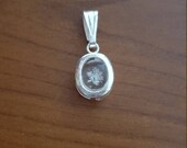 Real Preserved Snowflake Jewelry & more.... by CountryIvyCreations