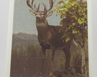 Hiking birthday card | Etsy