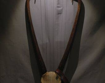 Kravik lyre 7 string Viking Lyre made of Spruce with hard case