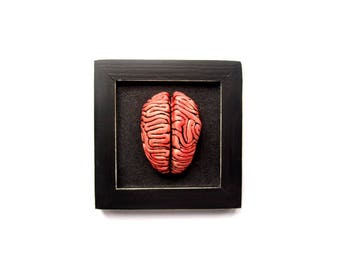 Human Brain Wall Clock