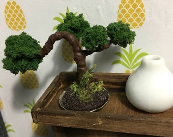 Miniature bonsai | Etsy