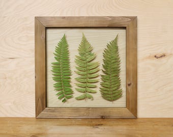 Fern art | Etsy