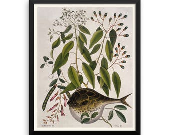 Fish wall art | Etsy