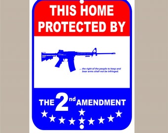 This house is protected by the second amendment Vinyl Wall