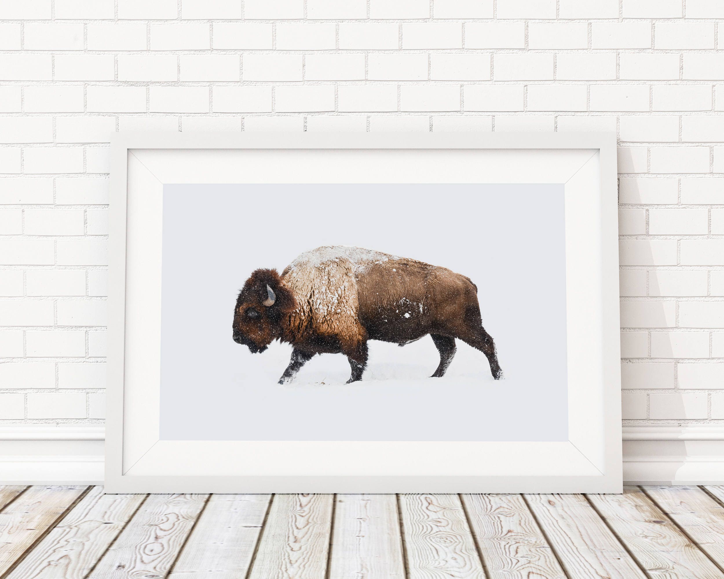 Buffalo Print/ Bison Print/ Printable Art/ Buffalo Wall Art/