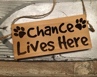 Custom dog signs | Etsy