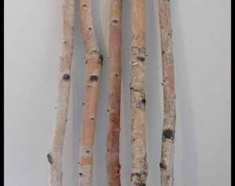 Birch poles | Etsy