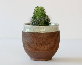 Air plant pot | Etsy