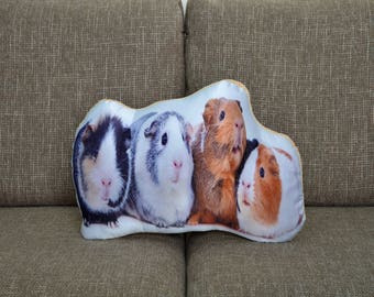 Guinea pig photo | Etsy