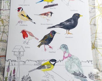 Garden bird print 'British Garden Birds' poster