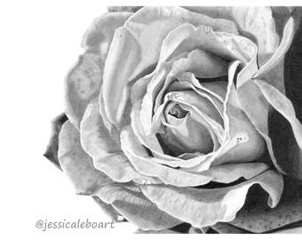 Rose pencil drawing | Etsy