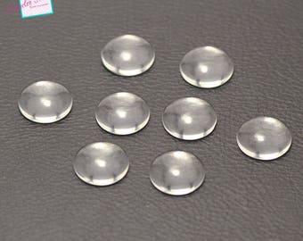 Mini Plastic Dome Pendant Small Terrarium Domes Tiny Display