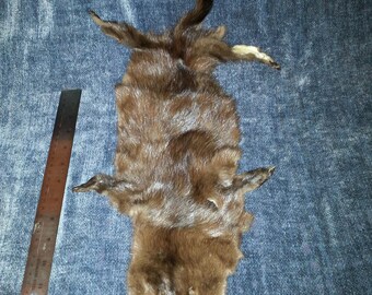 Mink pelts | Etsy