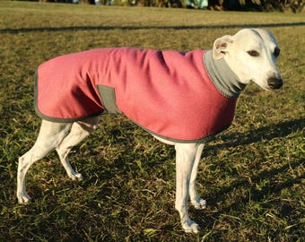 Whippet clothing | Etsy