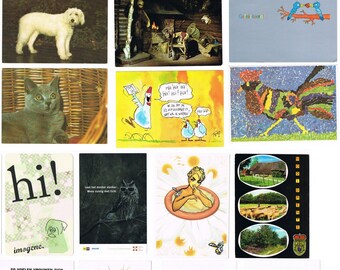 Animal postcards | Etsy