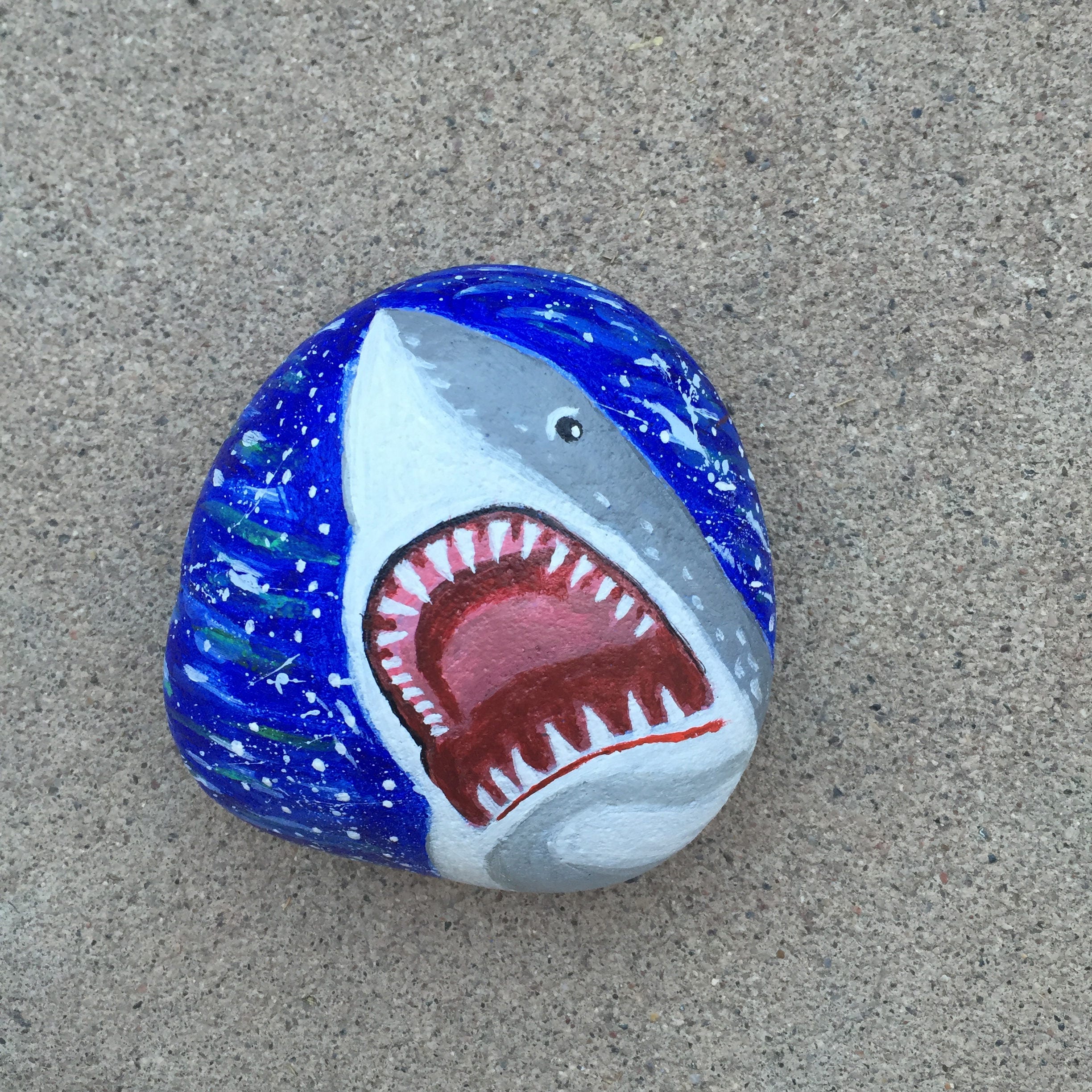 Shark Painted Rock Shark Art Shark Painting 3D Painting