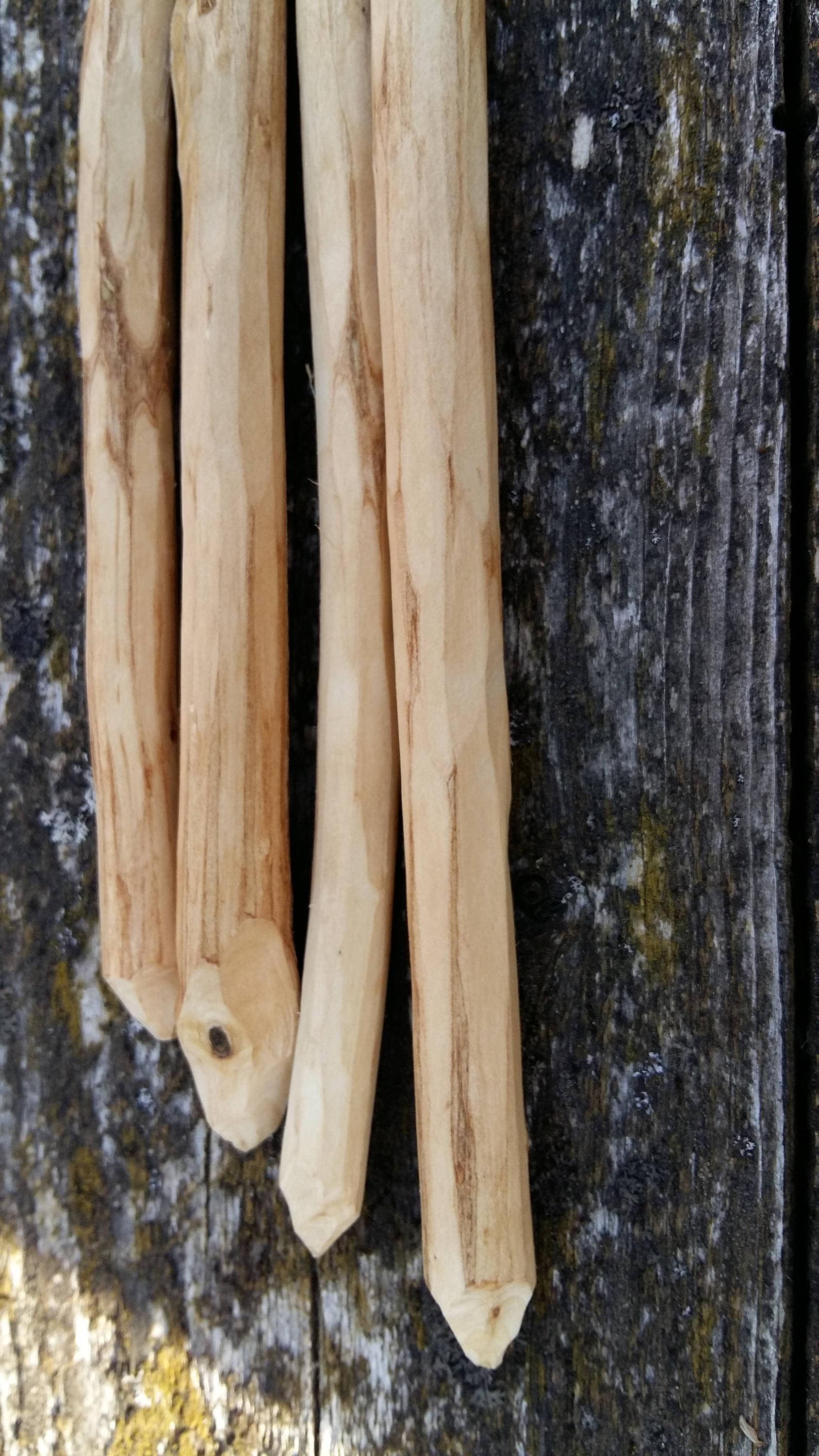 Rowan wand natural rowan tree wood sticks mountain ash tree