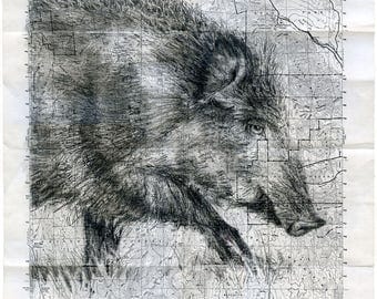 Wildschwein zeichnung | Etsy