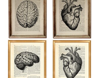 Brain art | Etsy