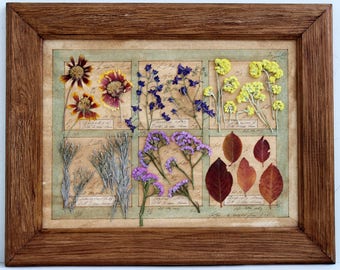 Pressed flower art | Etsy