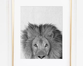 Lion print | Etsy