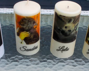 Tiger Candle