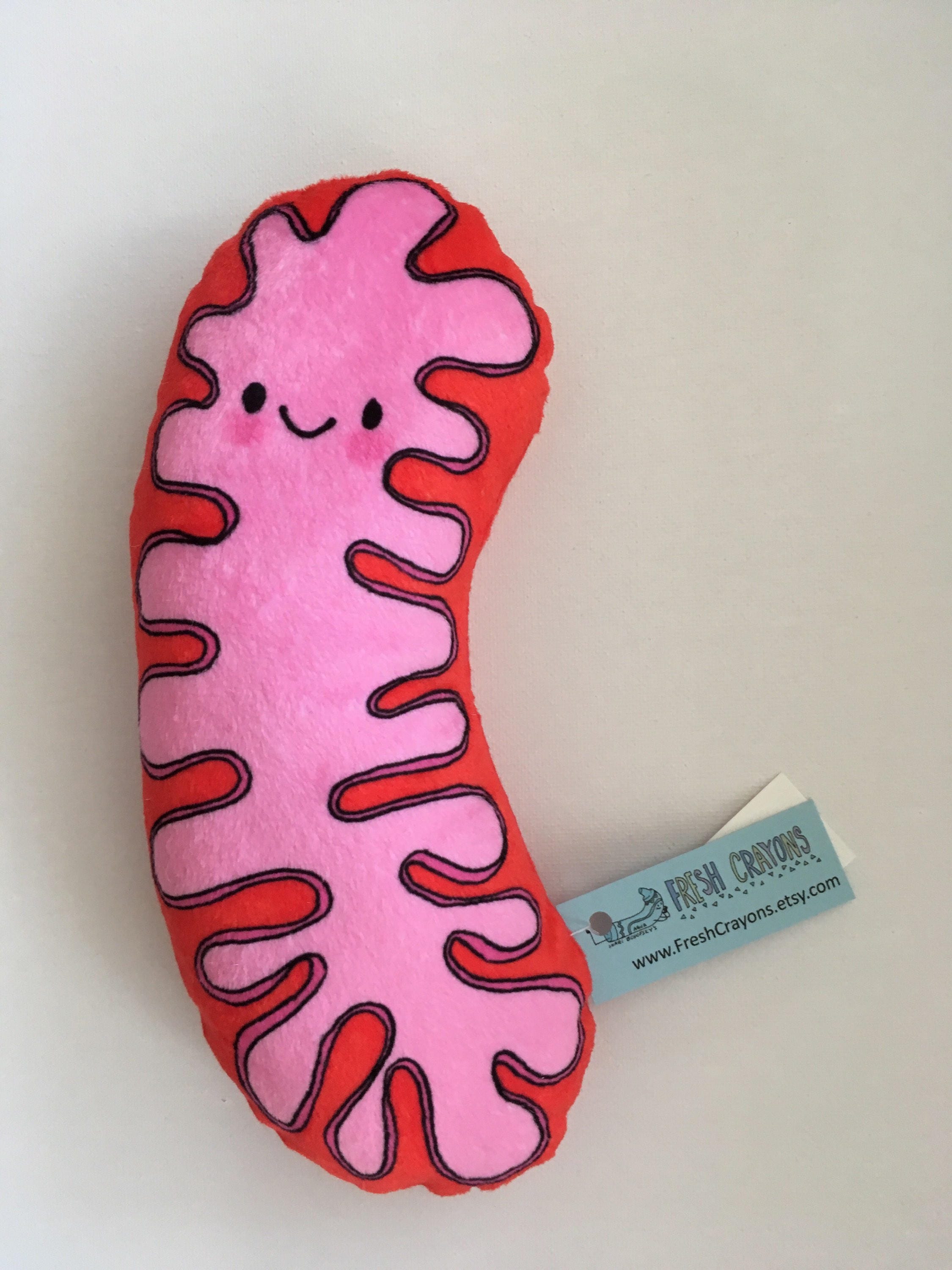 Mitochondria Plush the powerhouse of the pillow