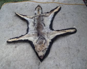 Taxidermy rug | Etsy