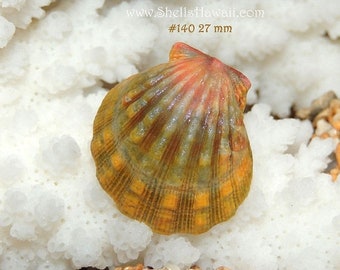 Hawaiian Heirloom jewelry. Made with aloha...by by ShellsHawaii