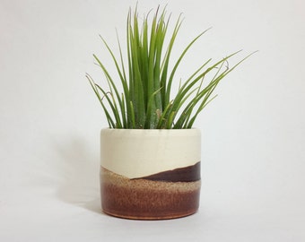Air plant pot | Etsy