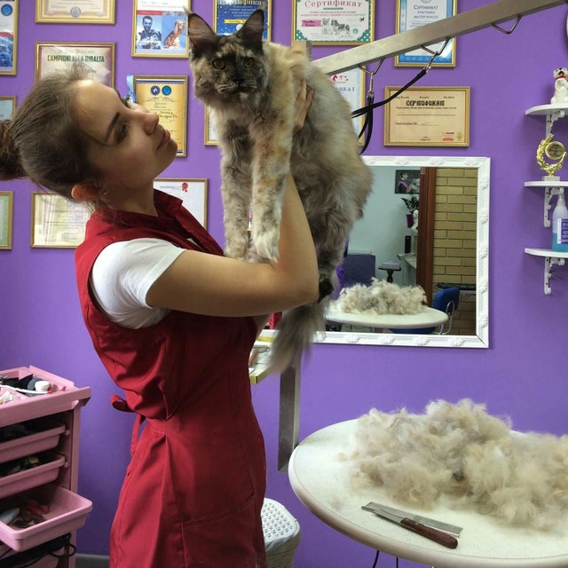 Bright & stylish grooming apparel by EnjoyGrooming on Etsy