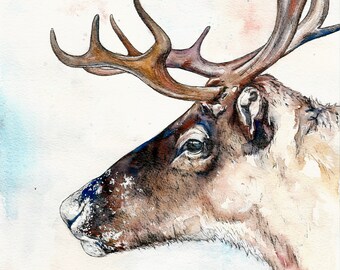 Reindeer watercolor | Etsy