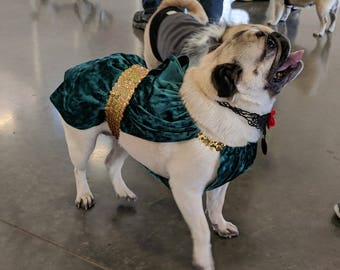 The Mad Hatter dog costume halloween pet Alice in