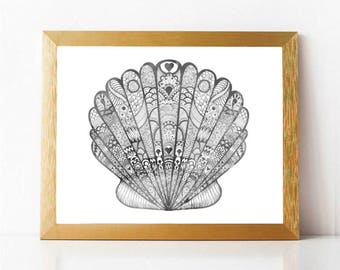 Shell illustration | Etsy