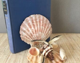 Shell art | Etsy