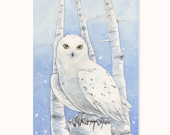Snowy owl art | Etsy