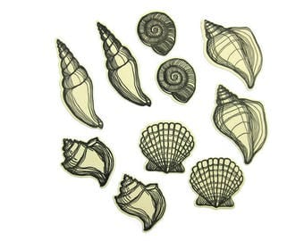 Shell die cut | Etsy