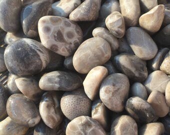 Petoskey stone | Etsy