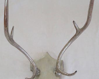 Metal deer antlers | Etsy