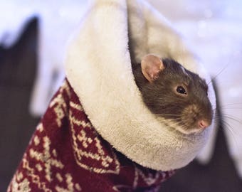 Rat accessories | Etsy