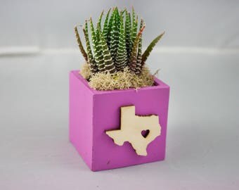 Texas planter | Etsy
