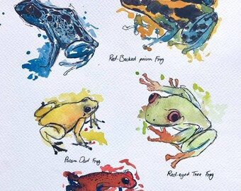Rainforest Frogs Art Print