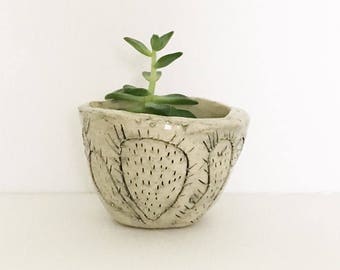 Ceramic cactus | Etsy