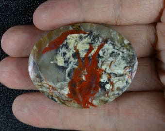 Necklace Coprolite Fossil Dinosaur Dung Jewelry Sterling