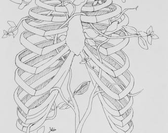Rib cage drawing | Etsy