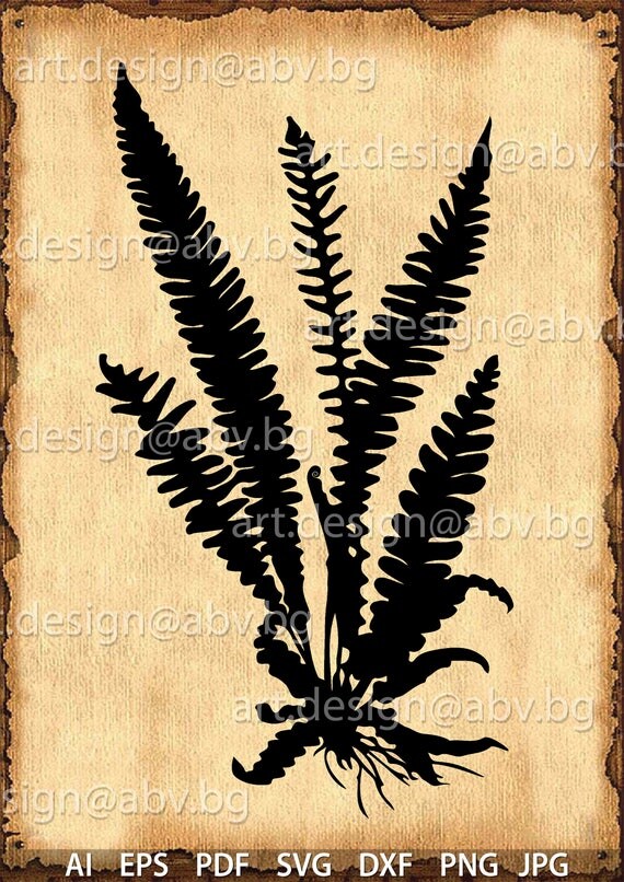Vector FERN AI eps pdf SVG dxf png jpg Download