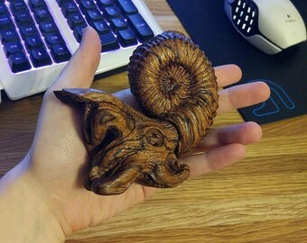 Ammonite | Etsy
