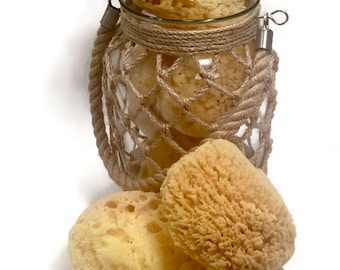 Sea sponges | Etsy