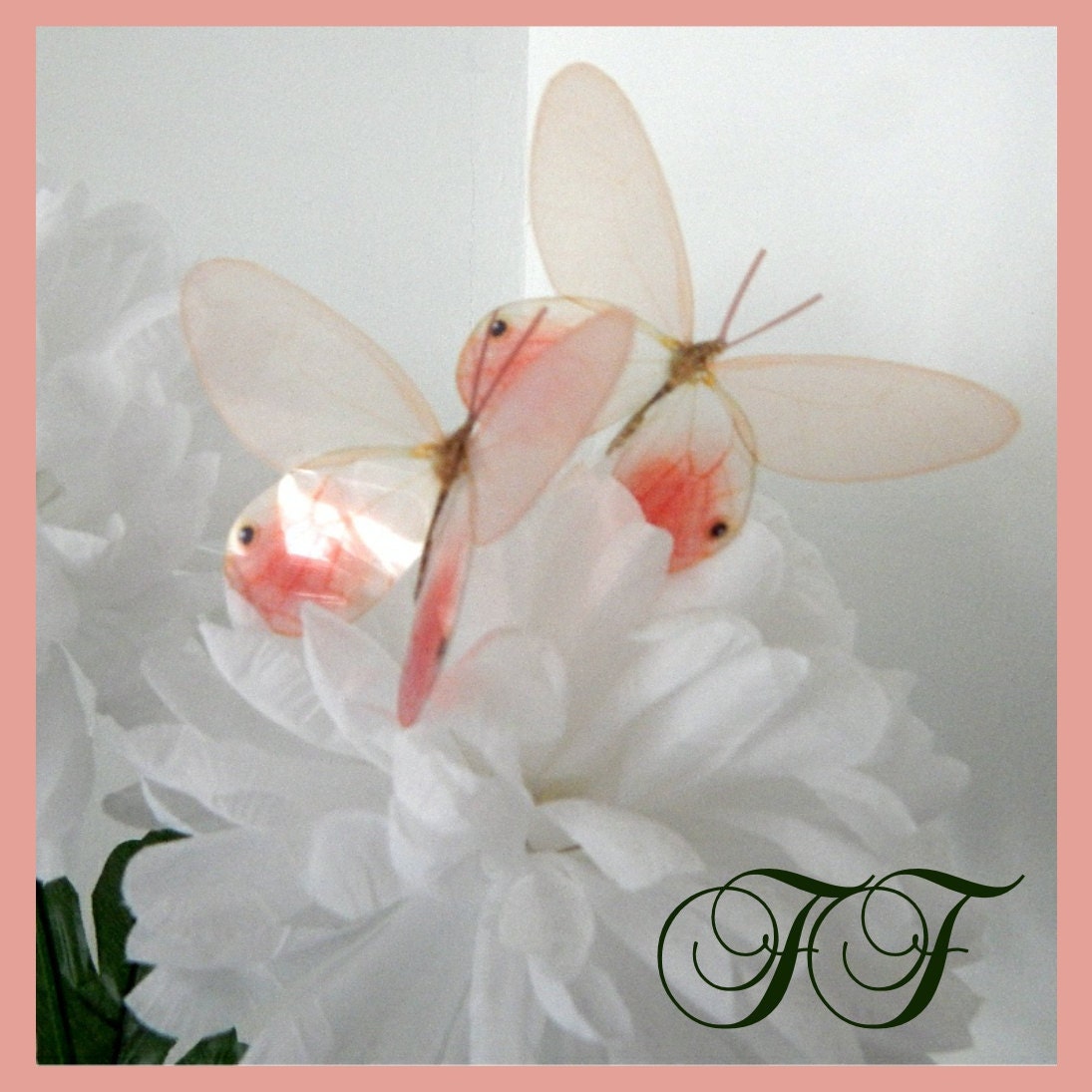 Bring your home to life with our incredible by Flutterframes