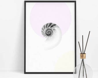 Sea shell art | Etsy